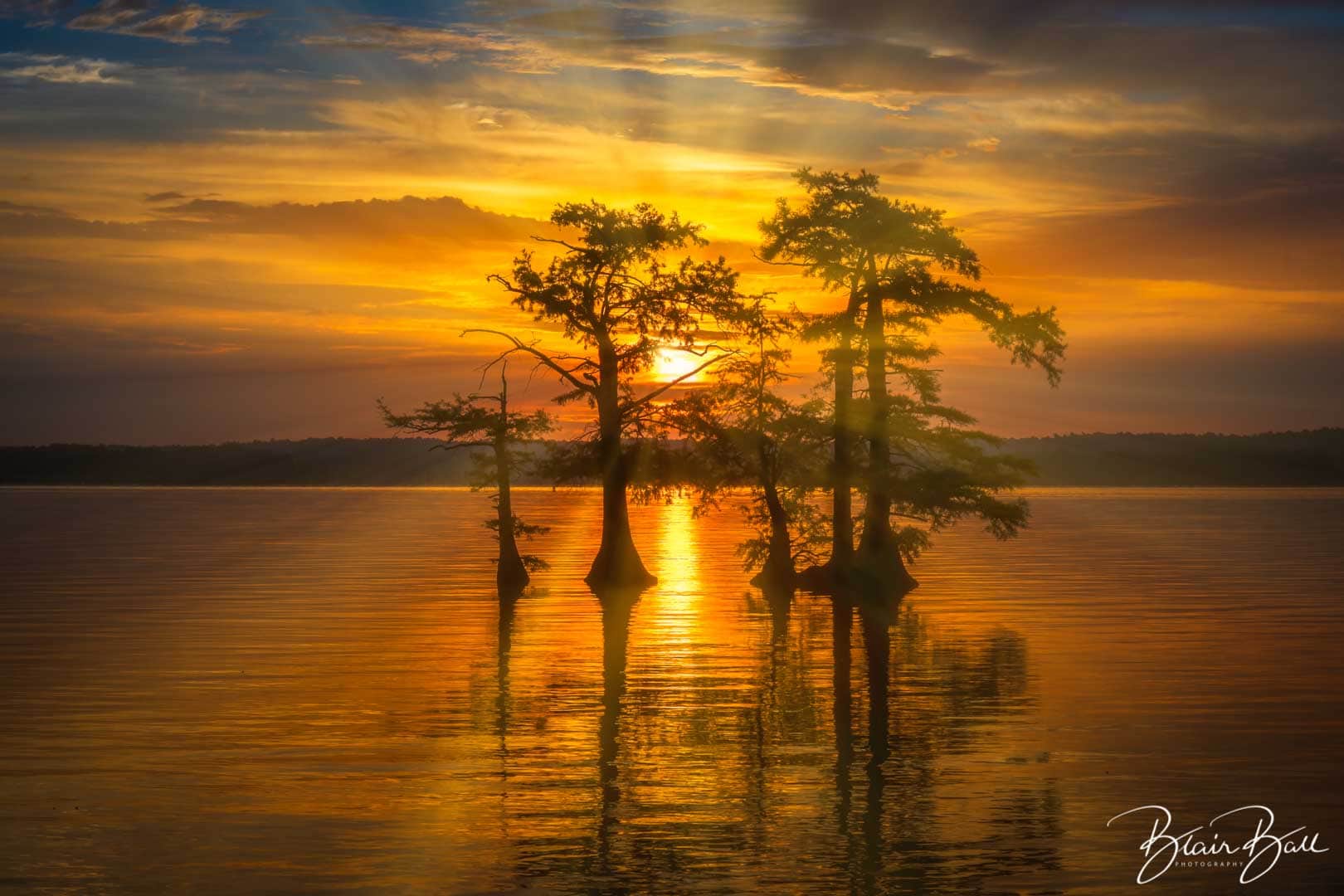 REELFOOT LAKE PHOTO WORKSHOP - Memphis Photographer Blair Ball | Event ...